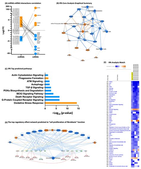 Combined Noncoding Rna Mrna Regulomics Signature In Reprogramming And