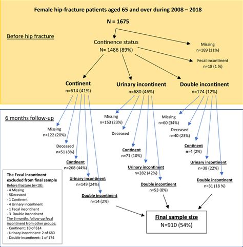 A Flow Chart Of Continence Status In The Study Population Download