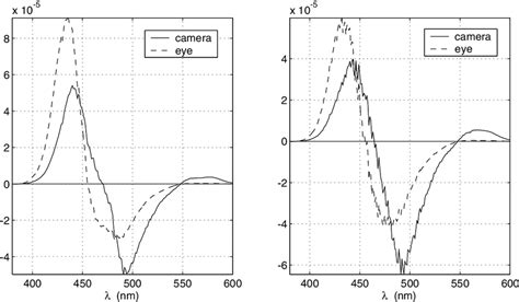 Integrands For Projective Coordinates Download Scientific Diagram