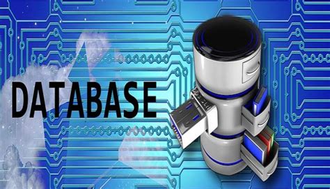 How To Take Care Of A Sql Based Database Through Remote Dba Infographic Portal