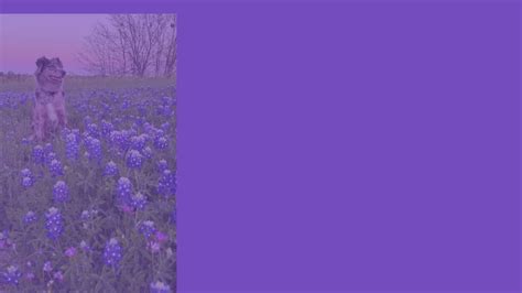 Aeko Technologies On Linkedin Sase