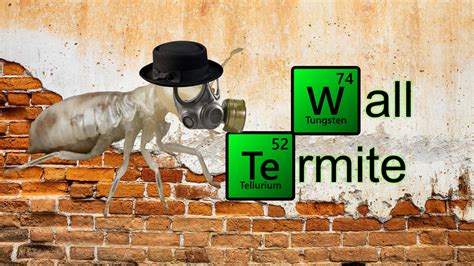 Wall Termite By Catzillastudios On Deviantart