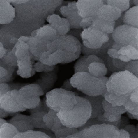 Sem Image Of Nanoparticle Complex Download Scientific Diagram