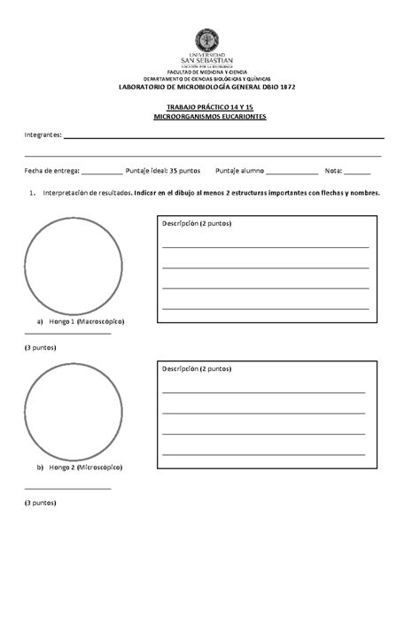 Reporte Sesión 14 Y 15 Microorganismos Eucariontes Dbio 1072 202410