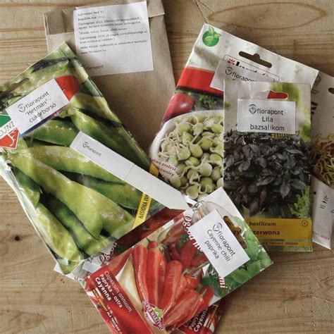 Mentha Requienii Talajtakaró Korzikai Menta Florapont