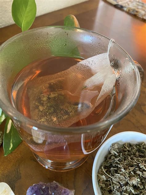 Cooling And Calm Herbal Tea Infusion With Sage Lemon Balm Hibiscus Chaste Berry — Wild Roots