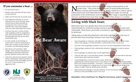 Watchung Nj Some Tips If You See A Bear