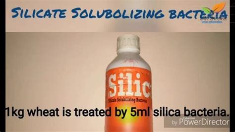 Silica 109 Silicate Solubilizing Bacteria Grade Standard Bio Tech
