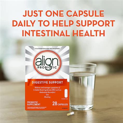Align Probiotic Digestive Support 14 Capsules Care And Shop