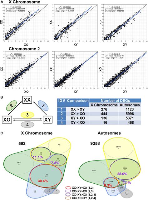 Frontiers Effects Of The Sex Chromosome Complement Xx Xo Or Xy On