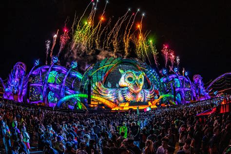 Edc Art Guide Iheartraves