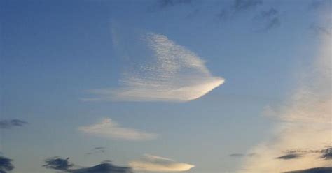 Spotted A Bird Shaped Cloud In Flensburg Germany Imgur