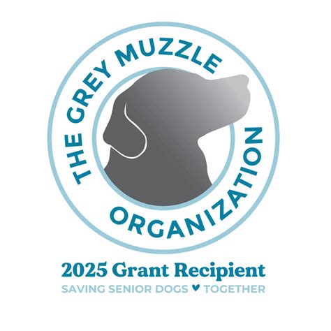 Cat Aggression Toward Humans Spca Of Wake County