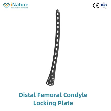 Orthopedic Implants Knee Joint Distal Femoral Locking Plate Trauma