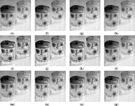 Figure 1 From Multi Sensor Image Fusion Using Optimized Support Vector