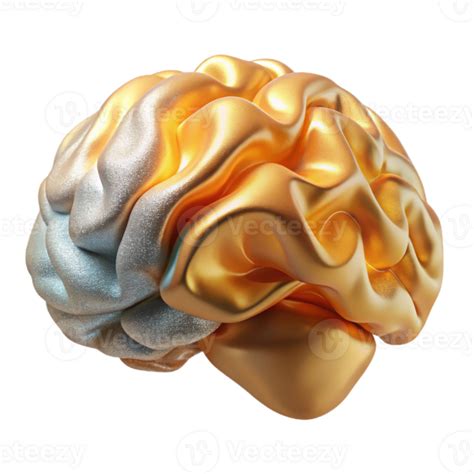 Wonderful Classic Anatomical Brain Illustration Cutout For Neuroscience