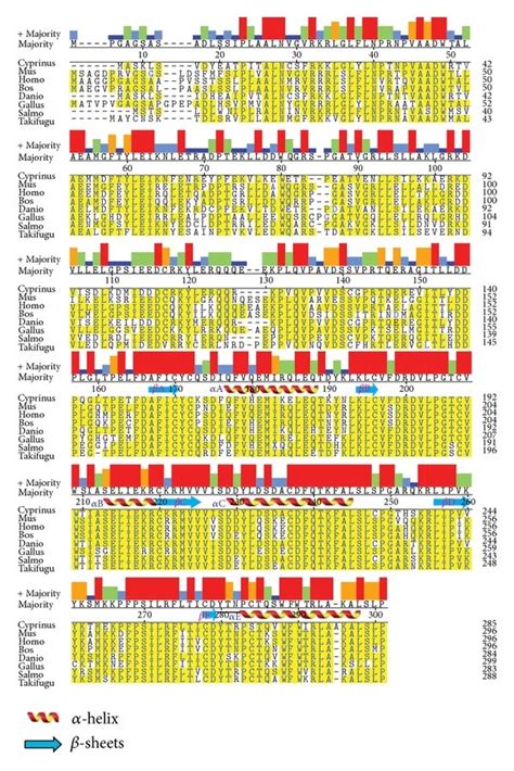 multiple sequence alignment and secondary structure prediction of