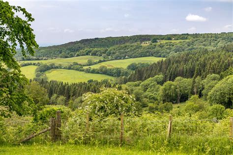 Byland Abbey Walk Cockerdale Walk North Yorks Walks