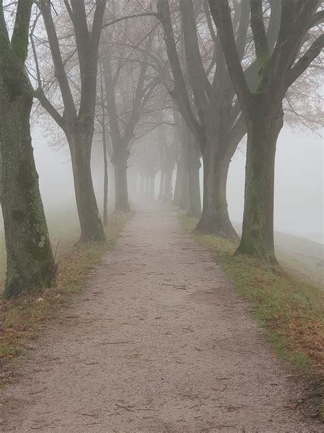 shafi chowdhury on linkedin careergoals