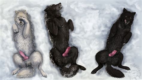 Rule 34 Animal Genitalia Animal Penis Arorcinus Balls Canine Canine