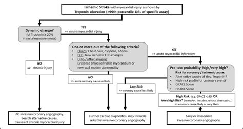 Proposed Workflow In Patients With Ischemic Stroke And Elevated Cardiac