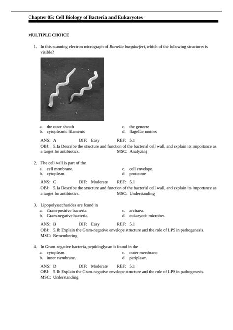 Chapter 05 Cell Biology Of Bacteria And Eukaryotes Microbiology Stuvia Us