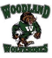 Woodland Wolverines Travel Football Home