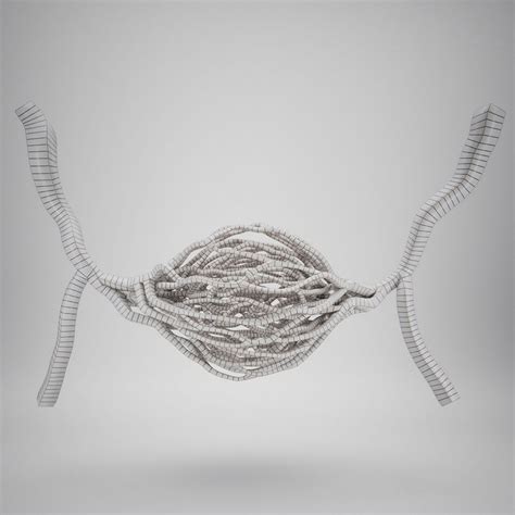 3d Blood Vessel Anatomy Capillary Turbosquid 2154018