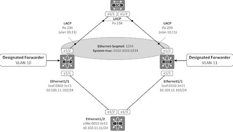 The Network Times EVPN ESI Multihoming Part I EVPN Ethernet Segment ES