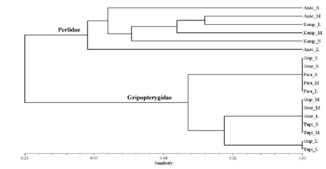 Dendrogram Obtained By Upgma Representing The Similarity Among The Download Scientific Diagram
