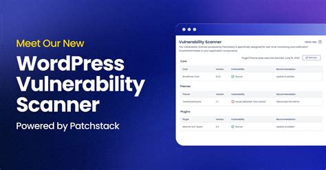 Introducing Wordpress Vulnerability Scanner By Patchstack Anas Moiz