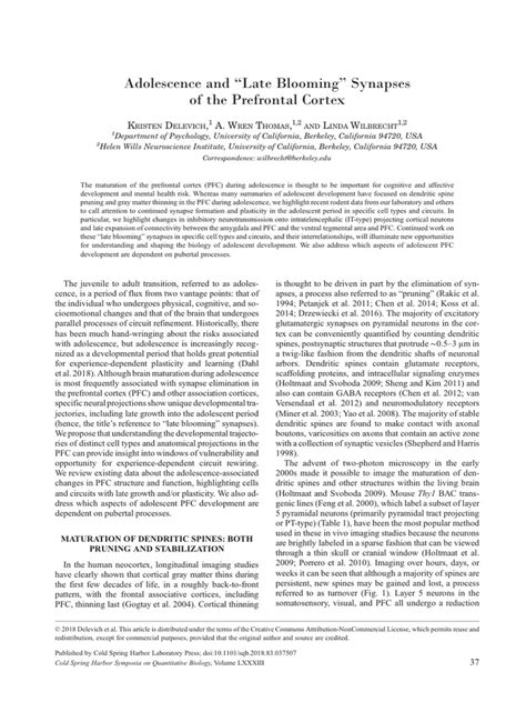 Adolescence And Late Blooming Synapses Of The Prefrontal Cortex Pdf