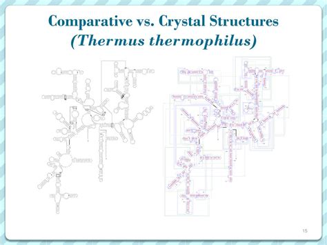 Ppt Utilizing Comparative Analysis To Determine And Characterize The Higher Order Structure Of