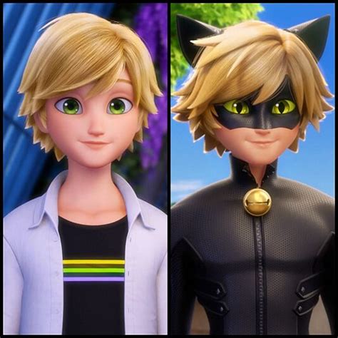 Adrien Agrestecat Noir Incredible Characters Wiki