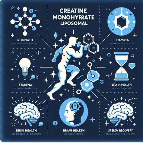 Creatine Monohydrate Liposomal Benefits Explained