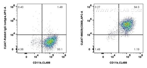 Cd68 Antibody Cl647 98029 Proteintech