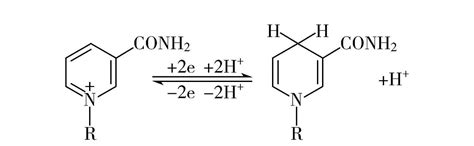第四节 烟酸 知乎