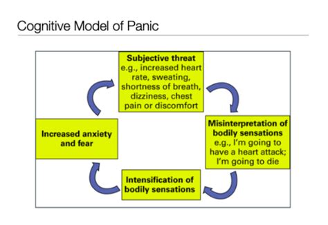 psyc 300a midterm 2 learning objectives questions flashcards