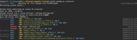 richer django logging r django