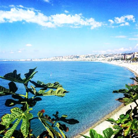 Julia Shaver And David Klemas Wedding Registry On Zola