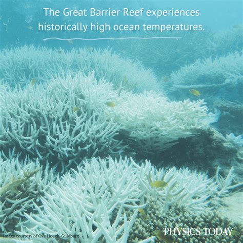Greatbarrierreef Oceanography Physicstoday Physics Today