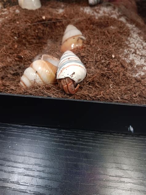 These Poor Bastards Rmildlyinfuriating