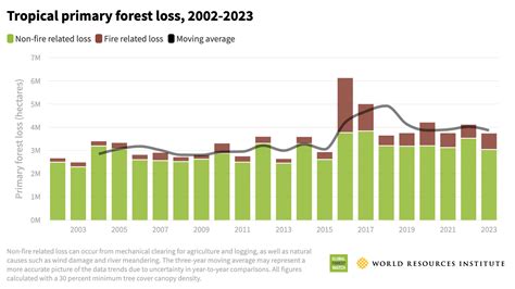 Turning The Corner On Deforestation Impakter