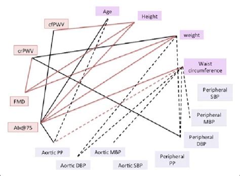 Correlation Web Showing Correlations Among Vascular Haemodynamic