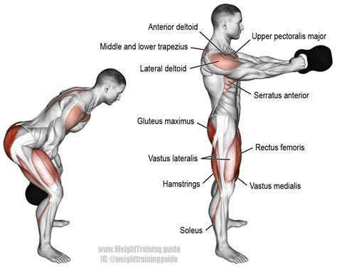 Kettlebell Swing Exercise Instructions And Video Weight Training