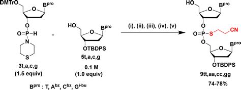 Development Of A New Synthetic Method For Oligodeoxynucleotides Using 3′ H Phosphonamidate