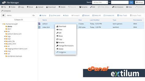 Compress Files Using File Manager Cpanel • Extilum Knowledgebase
