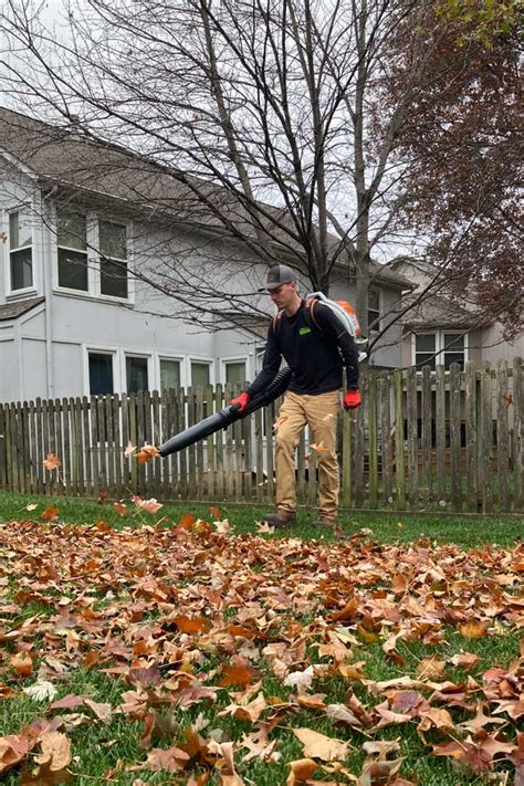 Yard Cleanup Ldk Lawn Services