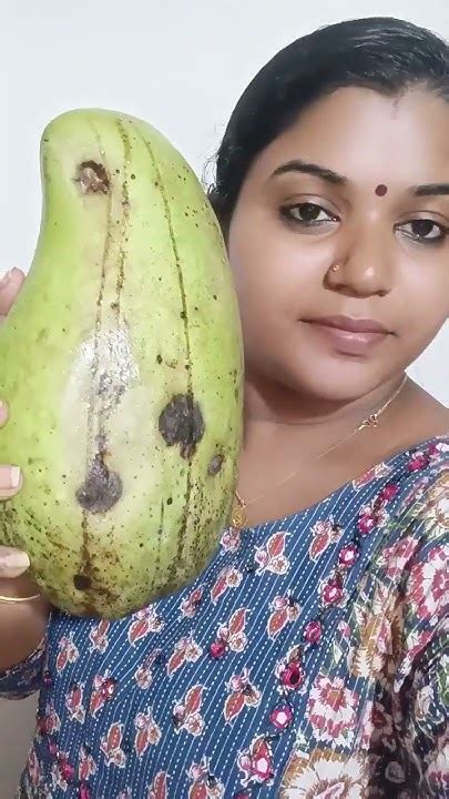 ഇത്രയും വലിയ മാങ്ങയോshortsfeed Youtubeshorts Shortvideo Short