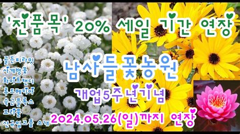 세일기간 일주일 연장 전품목 20 할인 526일까지 남사들꽃농원 개업 5주년 기념 Youtube